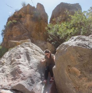 ABOUT AMY LALLY – QUADRAT