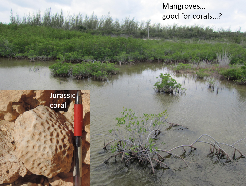 Projects Archive - QUADRAT