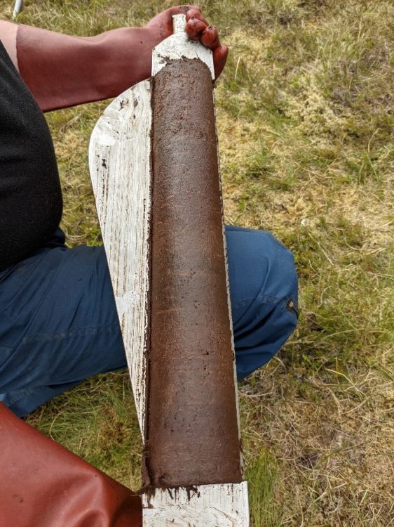 Onwards and Upwards! Fieldwork in Shetland – QUADRAT