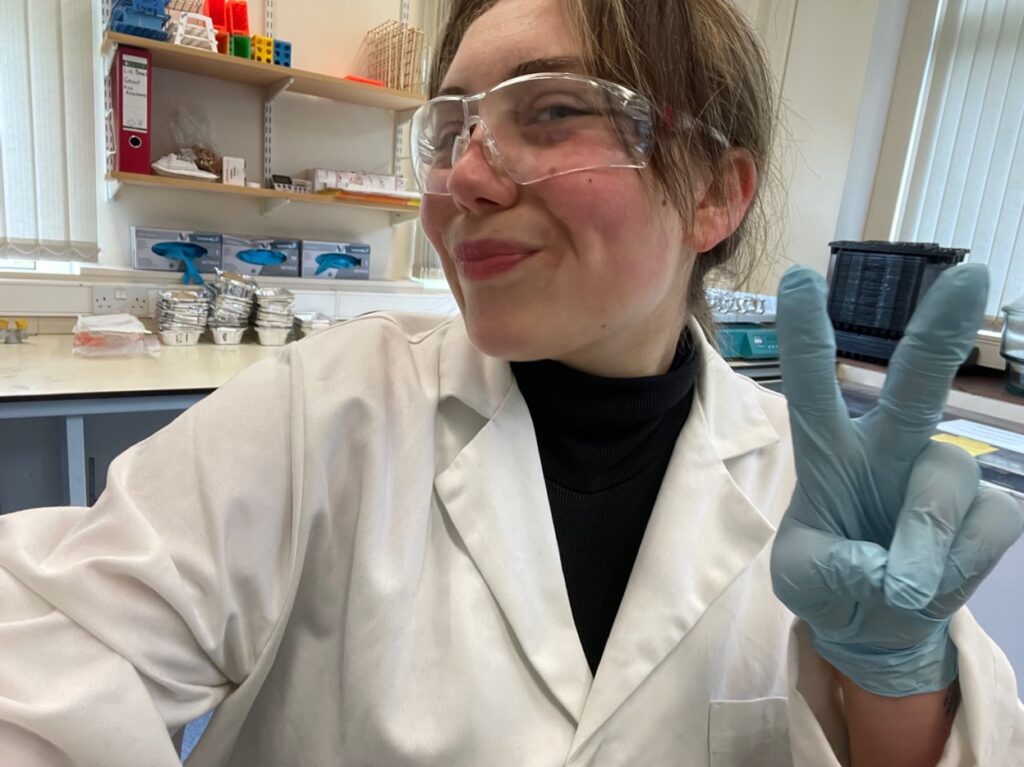 Trophic structure and functioning of macrofauna community in Loch ...